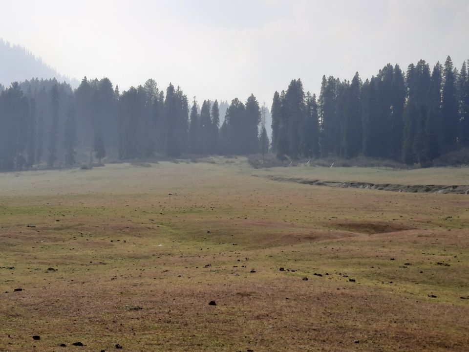 Trip to Doodhpathri (Kashmir) - Tripoto