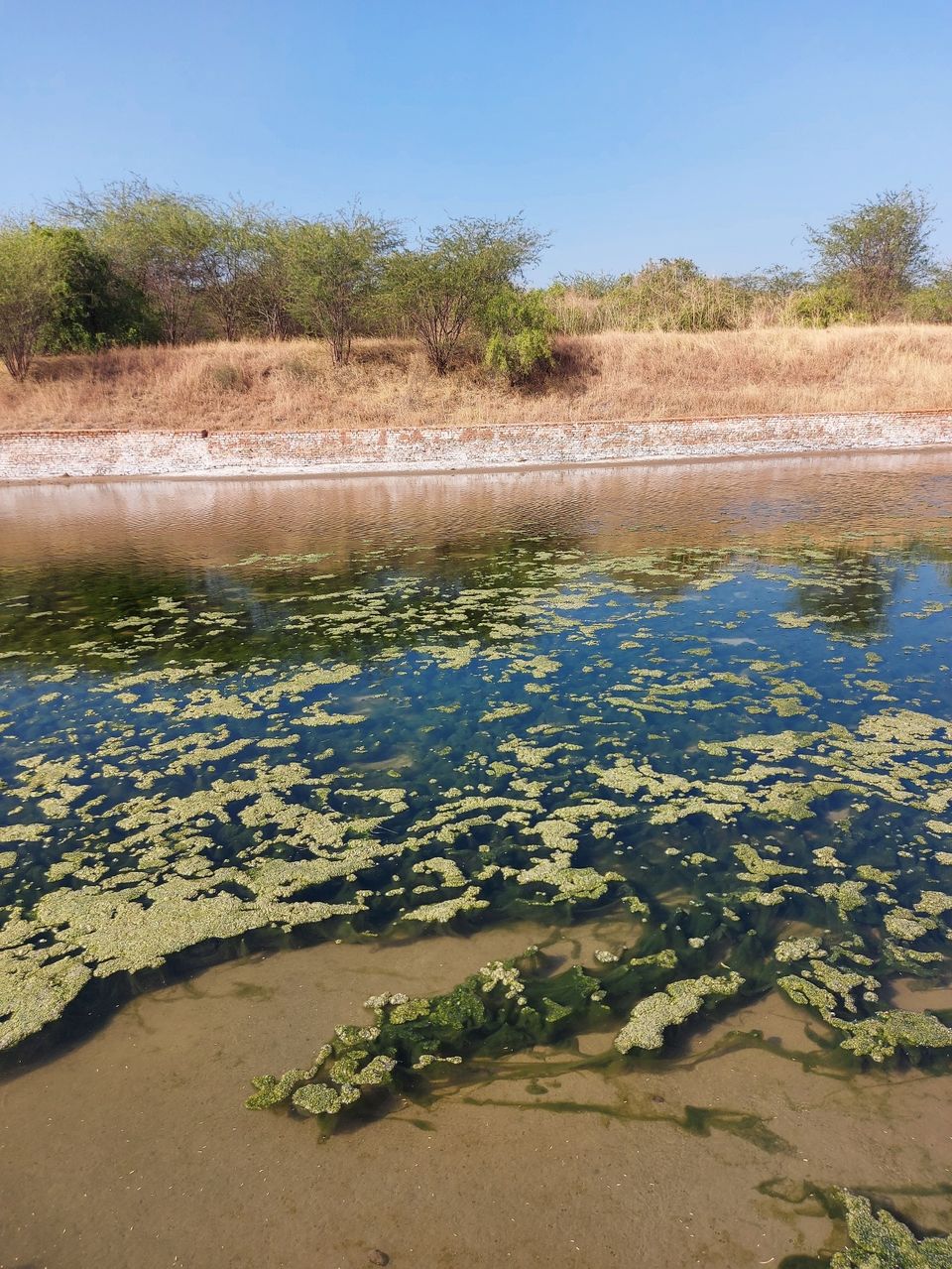 Gujarat and the Indus Valley Civilization – Lothal and Dholavira (Part ...