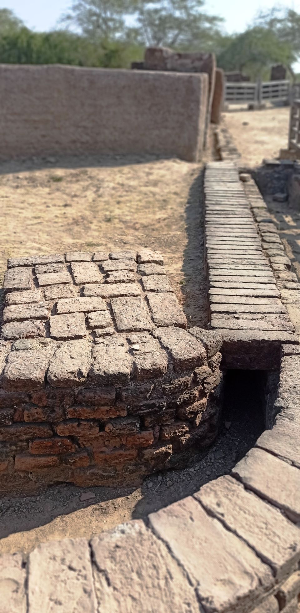 Gujarat and the Indus Valley Civilization – Lothal and Dholavira (Part ...