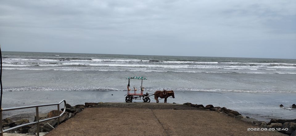 Sea View Beach Resort Shekhadi Shrivardhan - Tripoto