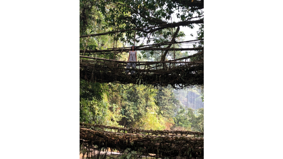 Double Decker Living Root Bridges of Meghalaya - Tripoto