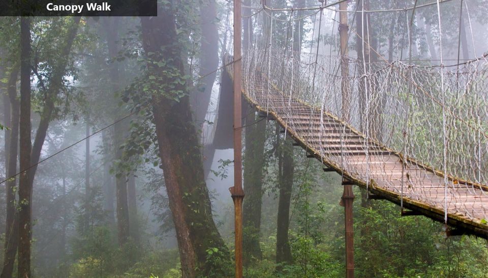 Try Walking on These Mesmerizing Hanging Bridges of India Make Your ...