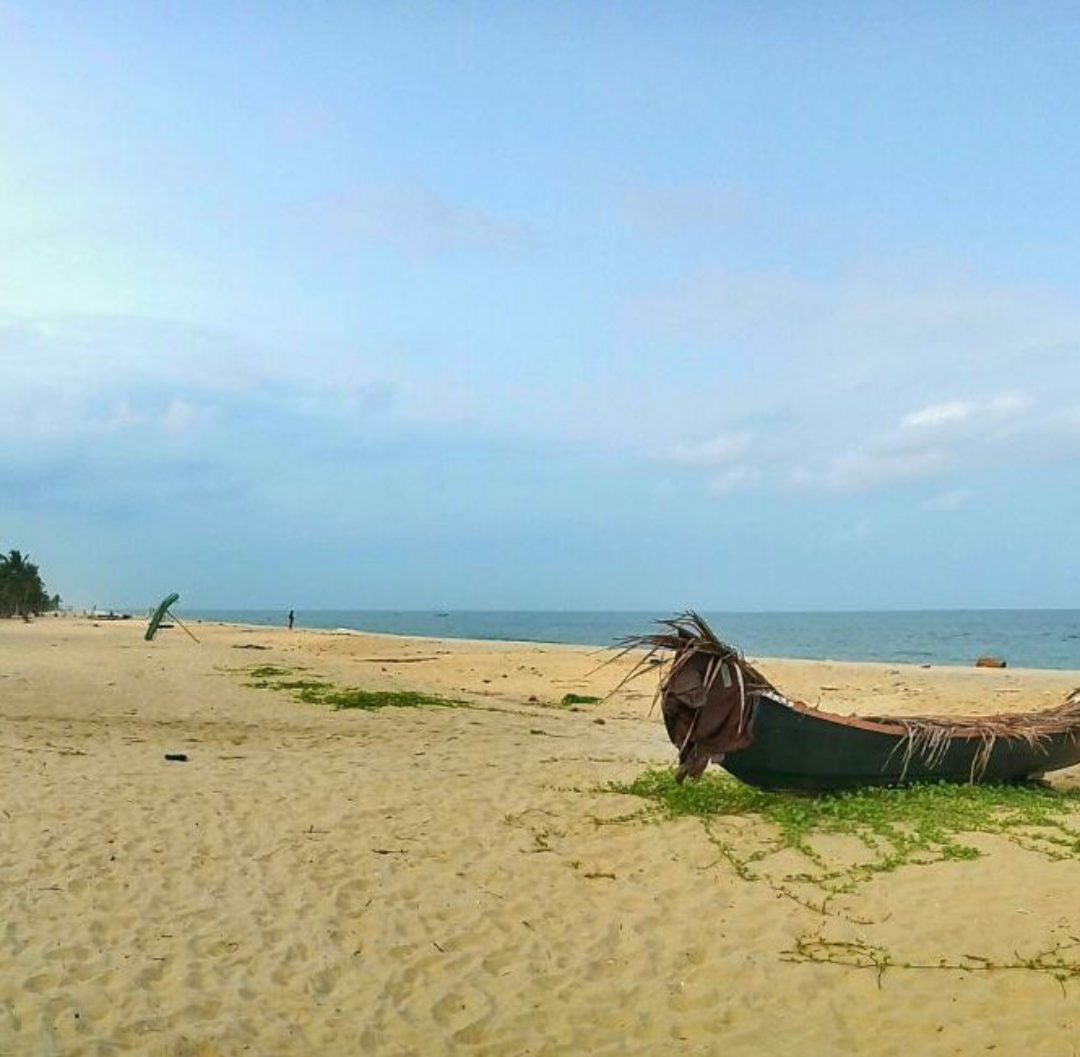Alappuzha Beach: A Complete Guide To The Venice of The East
