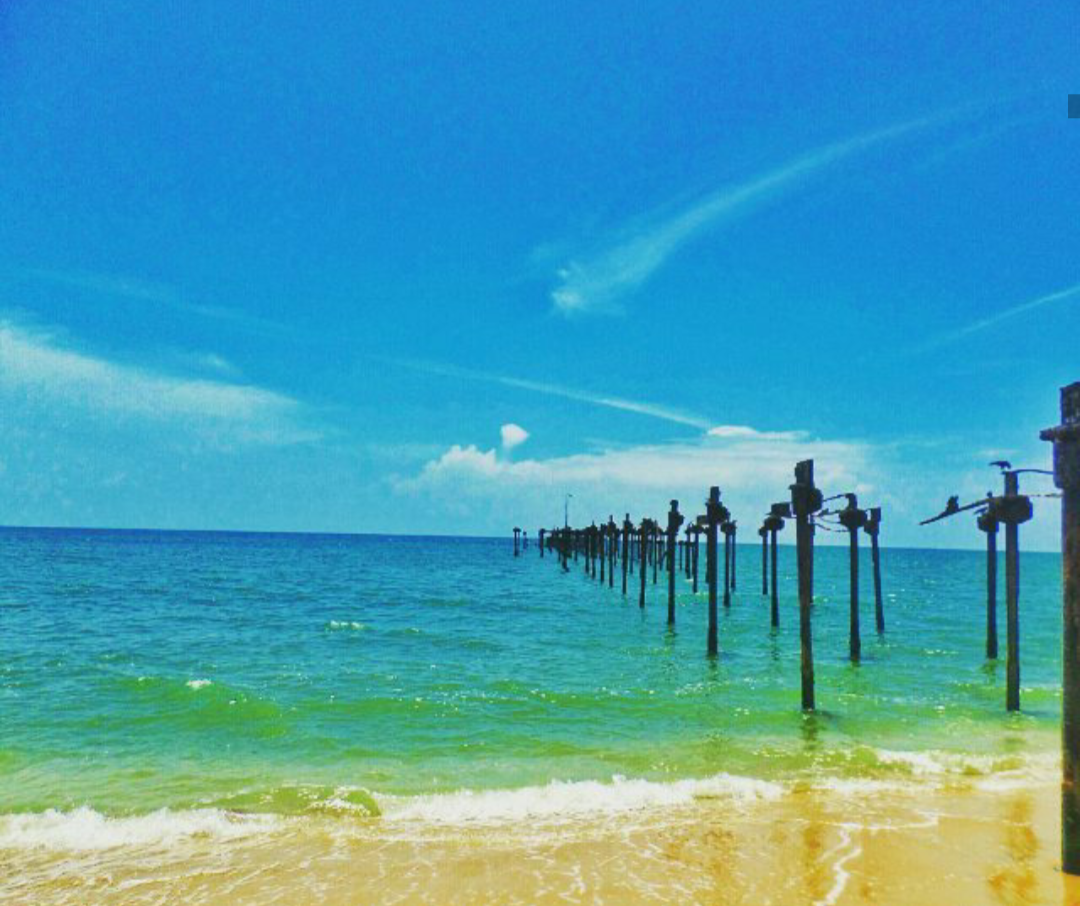 Alappuzha Beach: A Complete Guide To The Venice of The East