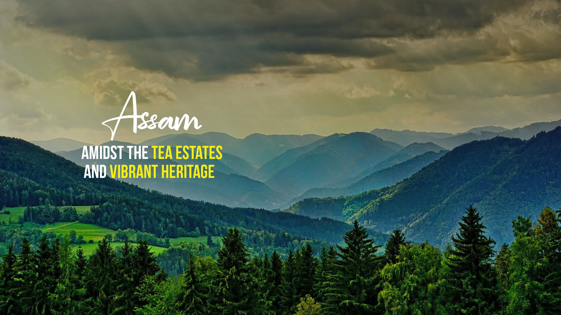 Assam Tour packages : Book Assam Tours and Holiday Packages | Tripoto