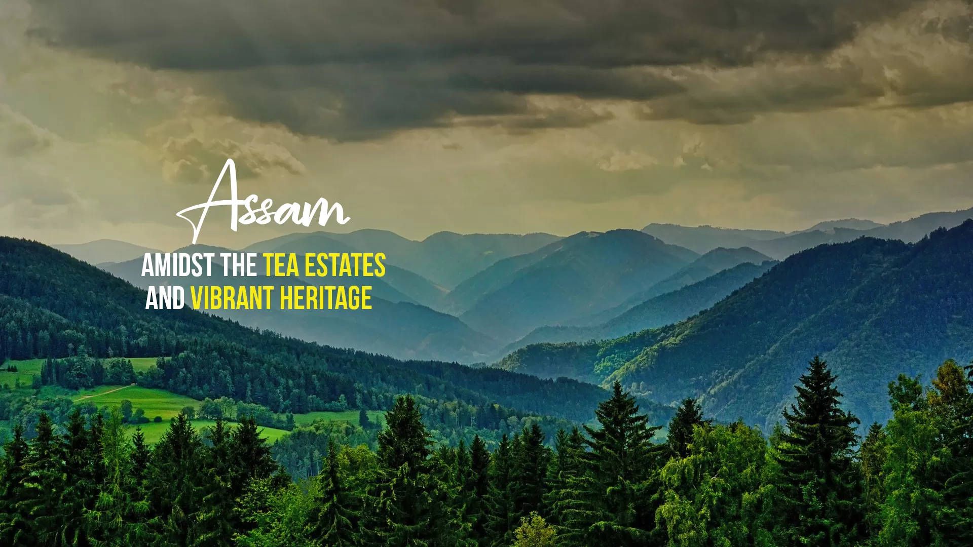 Assam Tour packages : Book Assam Tours and Holiday Packages | Tripoto