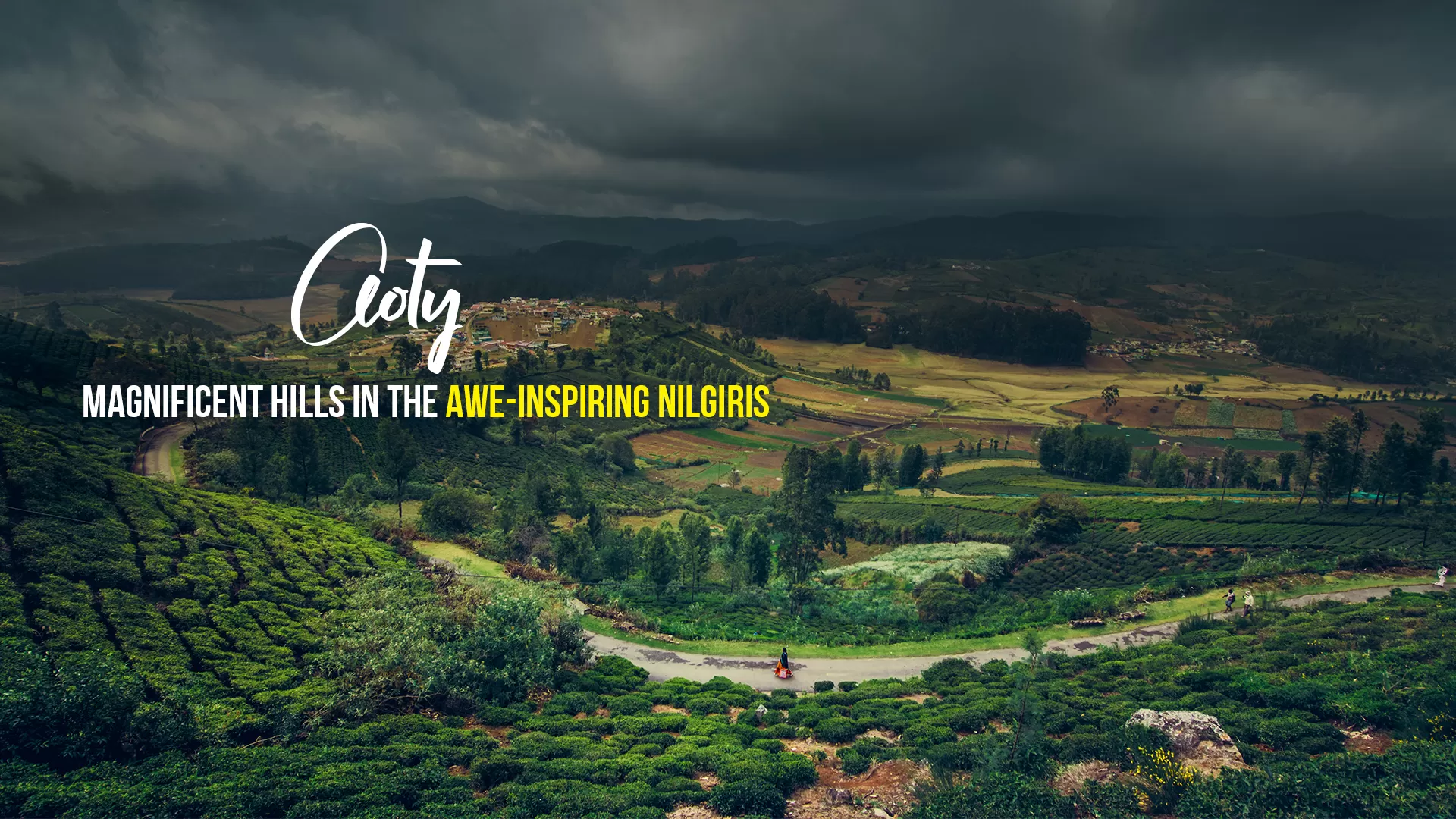 Ooty Tour packages : Book Ooty Tours and Holiday Packages | Tripoto