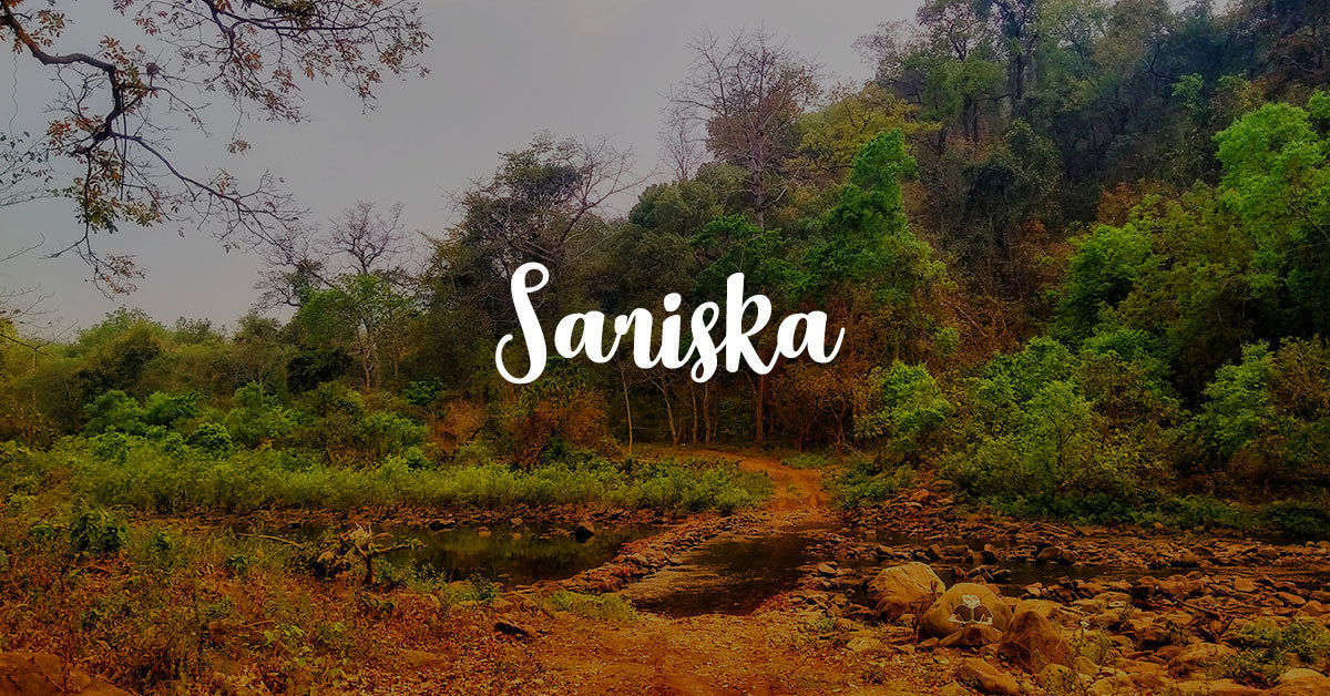 Book Sariska National Park, Rajasthan tour packages | Tripoto