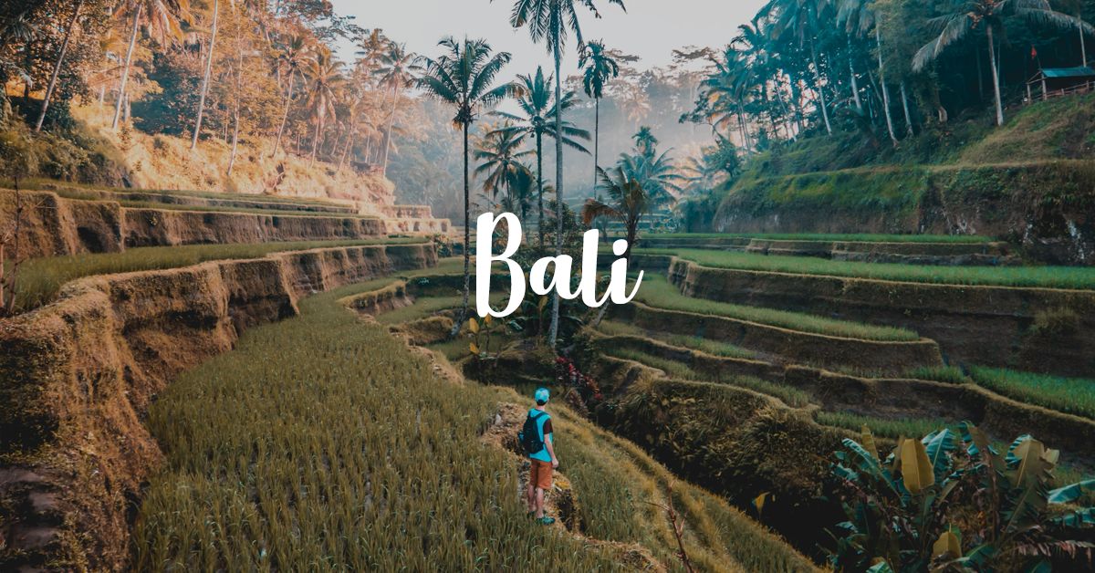 Book Bali, Celuk, MAS, Kintamani, Tegallalang, Ubud tour packages | Tripoto
