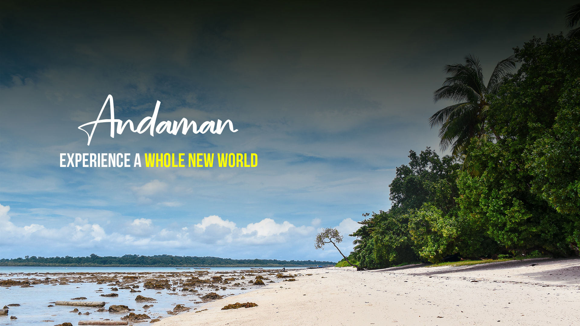 Andaman Tour packages : Book Andaman Tours and Holiday Packages | Tripoto