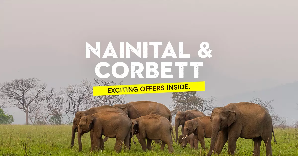 Book Jim Corbett National Park, Nainital, Uttarakhand tour packages ...