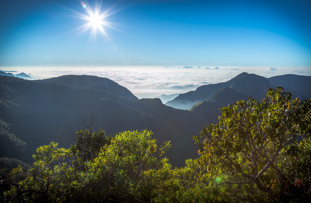 Horton Plains National Park: A World Heritage Site in Sri Lanka You Can ...