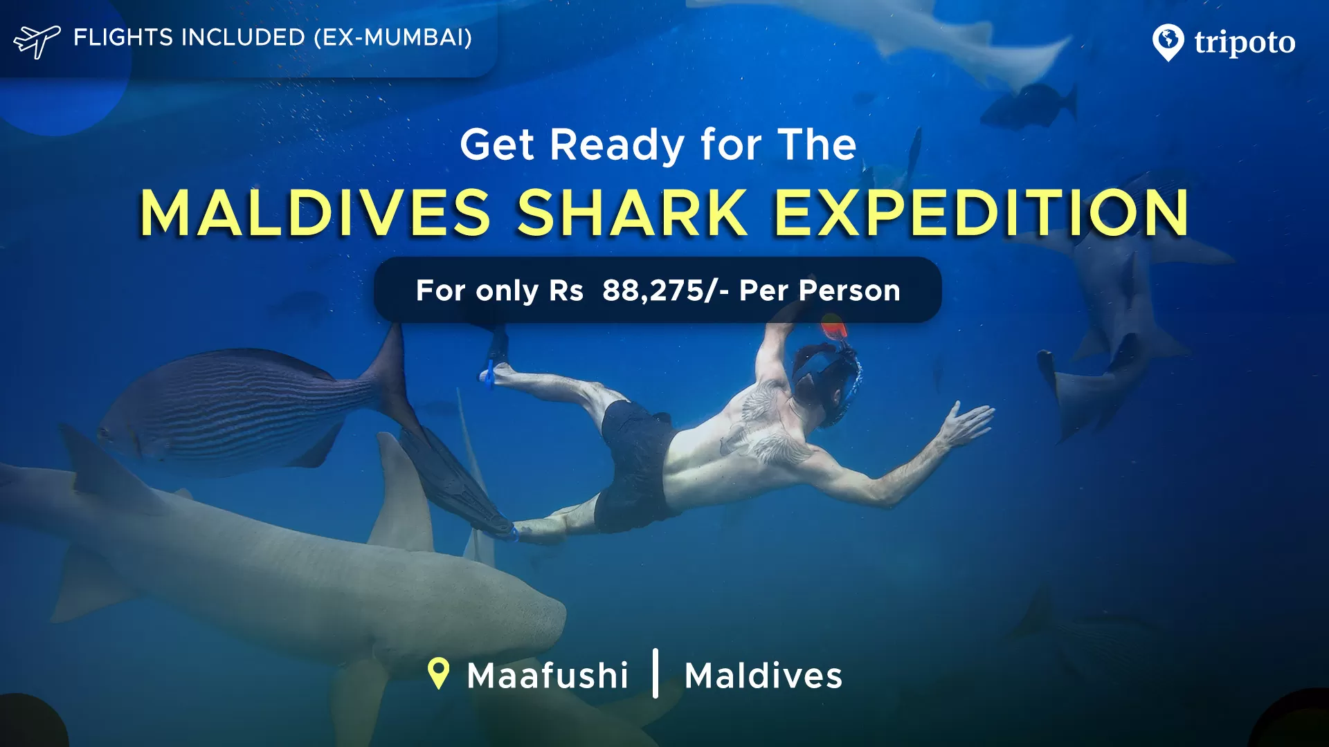 Fulfill Your Maldives Desires With Discover Scuba Dive & Cruise With ...