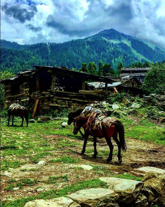 Pulga: A Hidden Gem in Parvati Valley