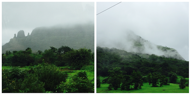 Tamhini Ghat: A Monsoon Paradise in the Western Ghats