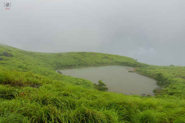 31 Places To Visit In Kalpetta To Make The Most Of Your Trip | Tripoto