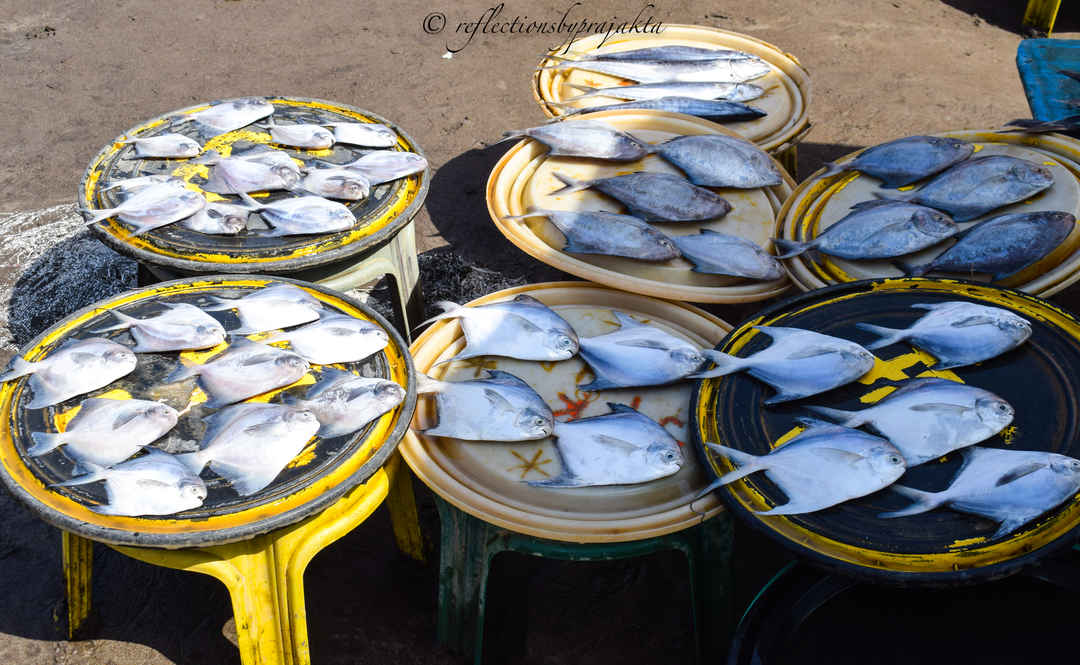 13 Places To Visit In Murud To Make The Most Of Your Trip | Tripoto