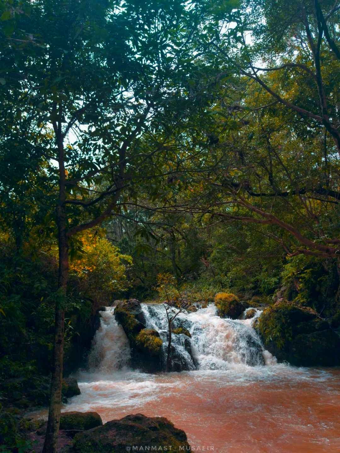 4 Places To Visit In Netarhat To Make The Most Of Your Trip | Tripoto