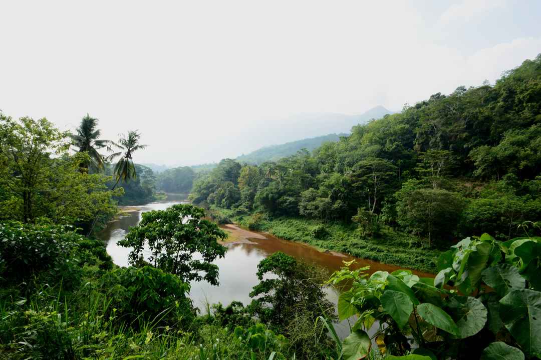 Bentota Travel Guide 2023: Best of Bentota Tourism | Tripoto