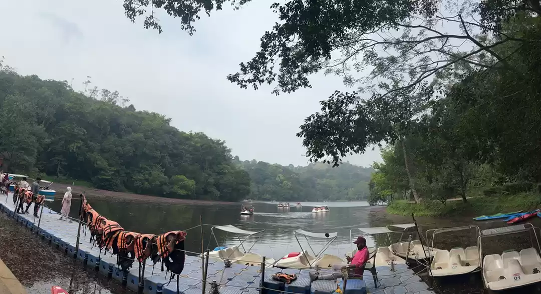 pookode lake entry fee