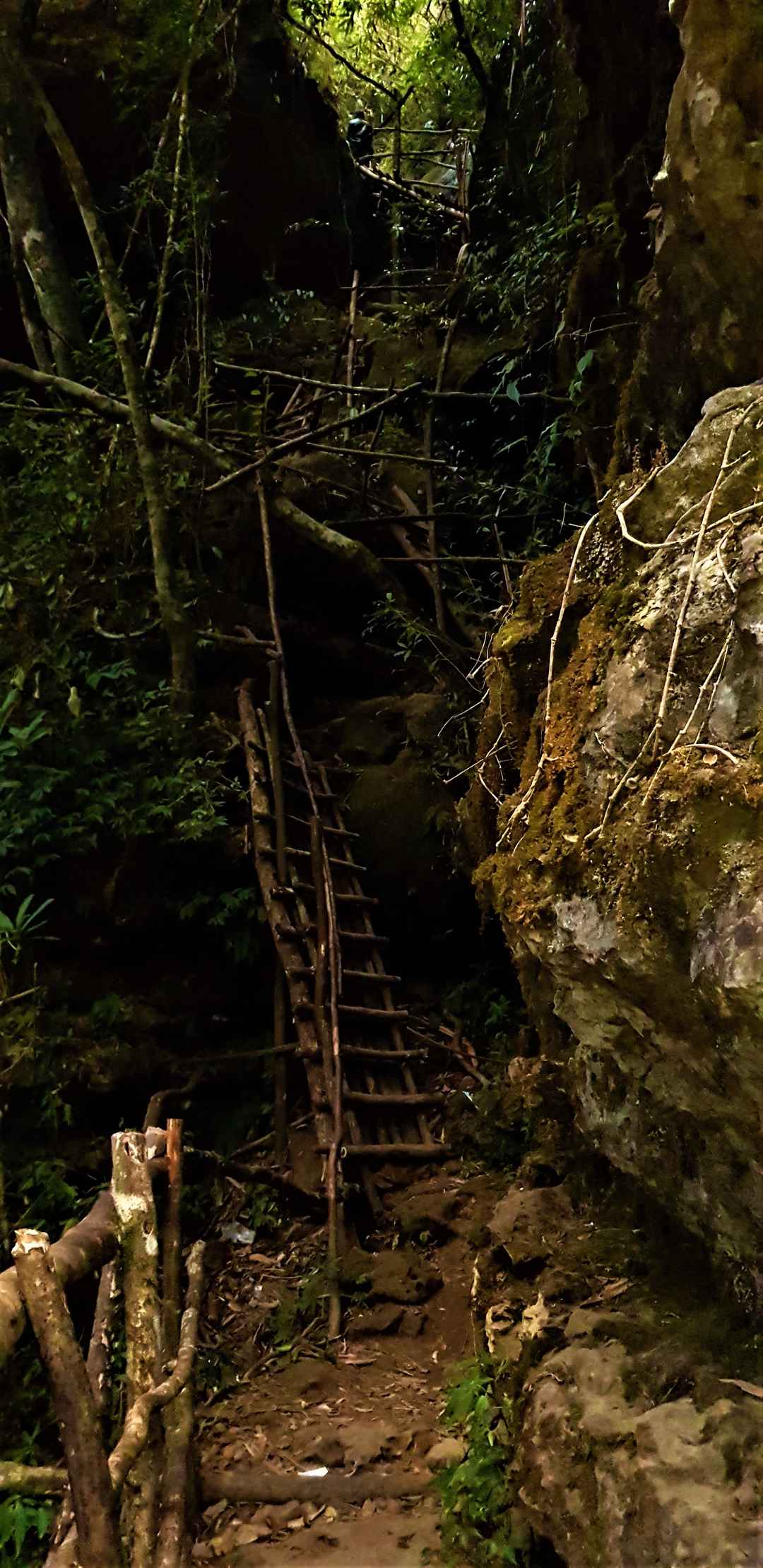 46 Places To Visit In Cherrapunjee To Make The Most Of Your Trip | Tripoto