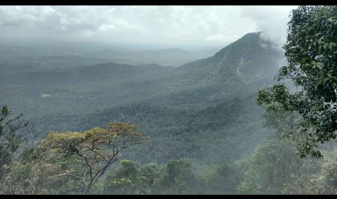14 Places To Visit In Agumbe To Make The Most Of Your Trip | Tripoto