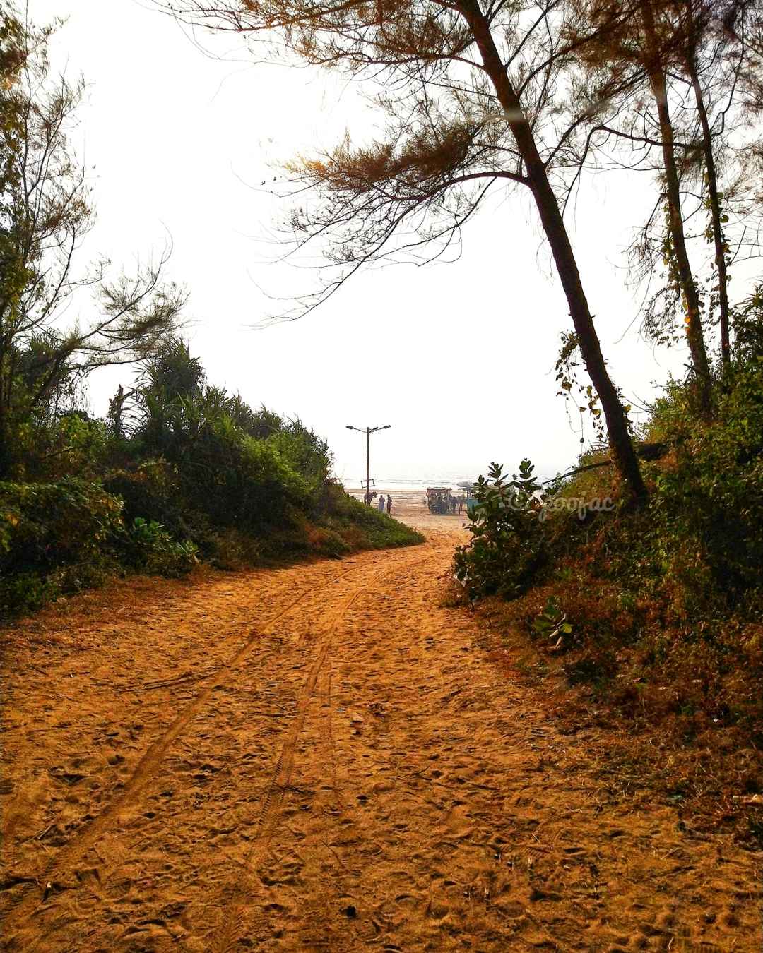 4 Places To Visit In Diveagar To Make The Most Of Your Trip | Tripoto