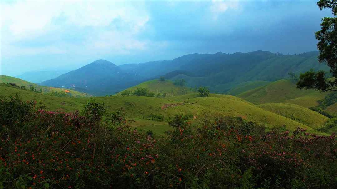 8 Places To Visit In Nilambur To Make The Most Of Your Trip | Tripoto