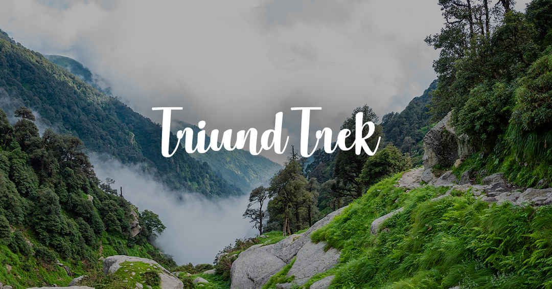 Book Himachal Pradesh, Triund, McLeod Ganj tour packages | Tripoto