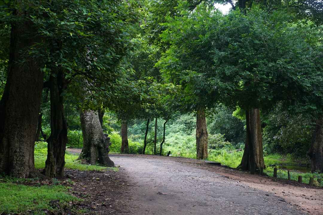 14 Places To Visit In Theni To Make The Most Of Your Trip | Tripoto