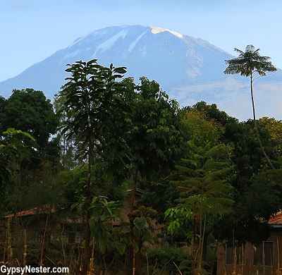 Tanzania Travel Guide 2021: Best of Tanzania Tourism | Tripoto