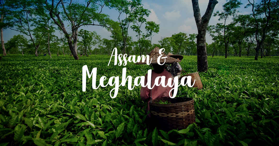 Assam Tour packages : Book Assam Tours and Holiday Packages | Tripoto