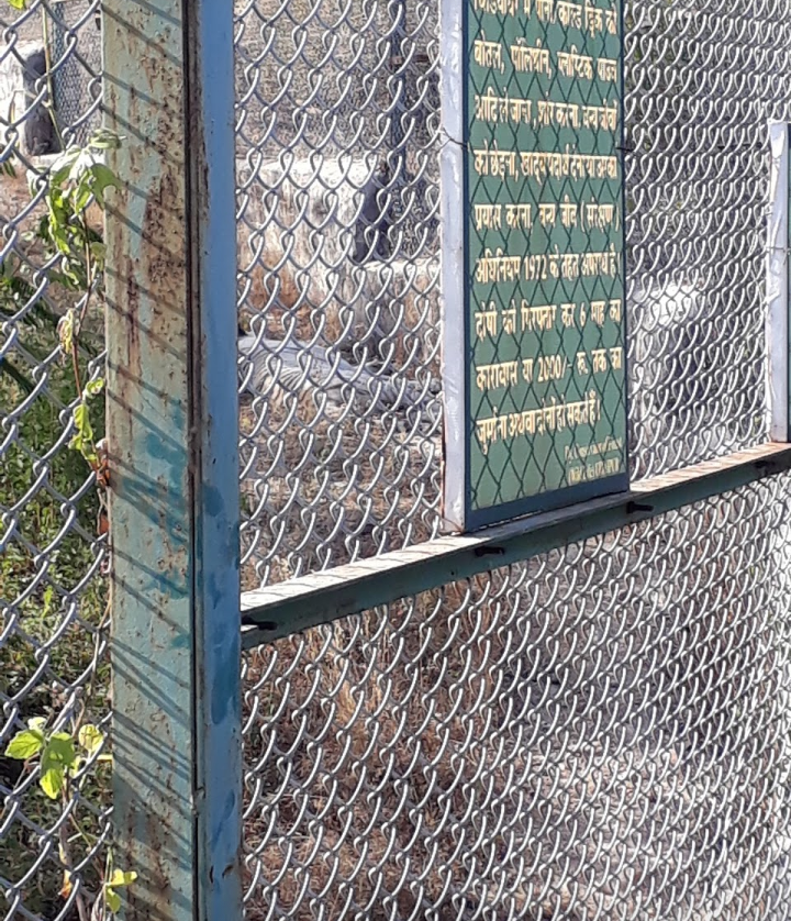 20 Popular Places To Visit In Saputara To Make The Most Of Your Trip