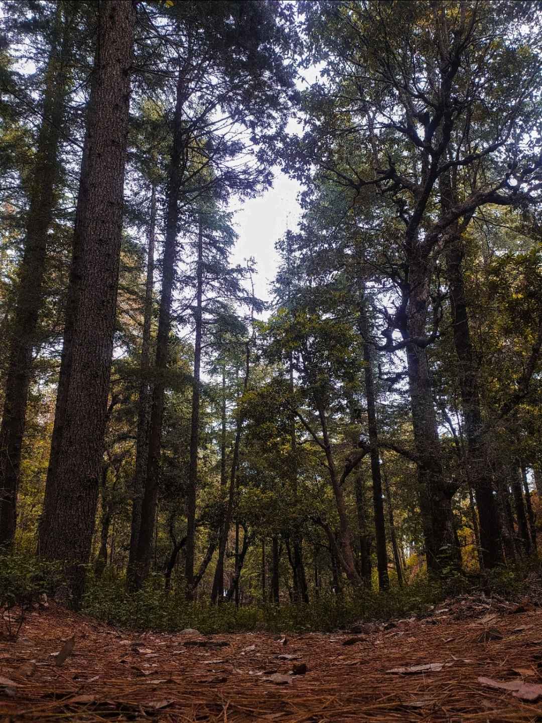 214 Places To Visit In Pauri Garhwal To Make The Most Of Your Trip ...