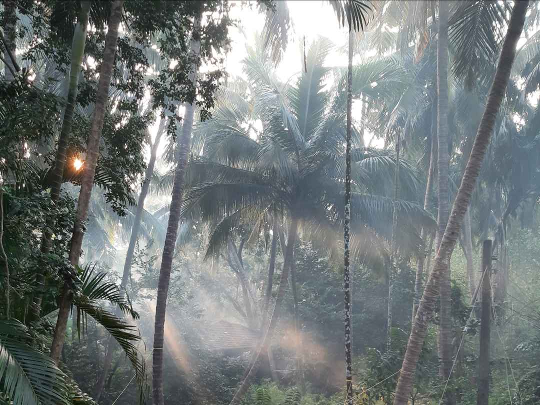 14 Places To Visit In Vengurla To Make The Most Of Your Trip | Tripoto