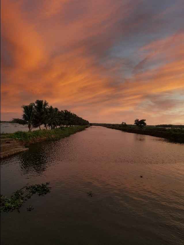 60 Popular Places To Visit In Thrissur For A Weekend Getaway In 2020