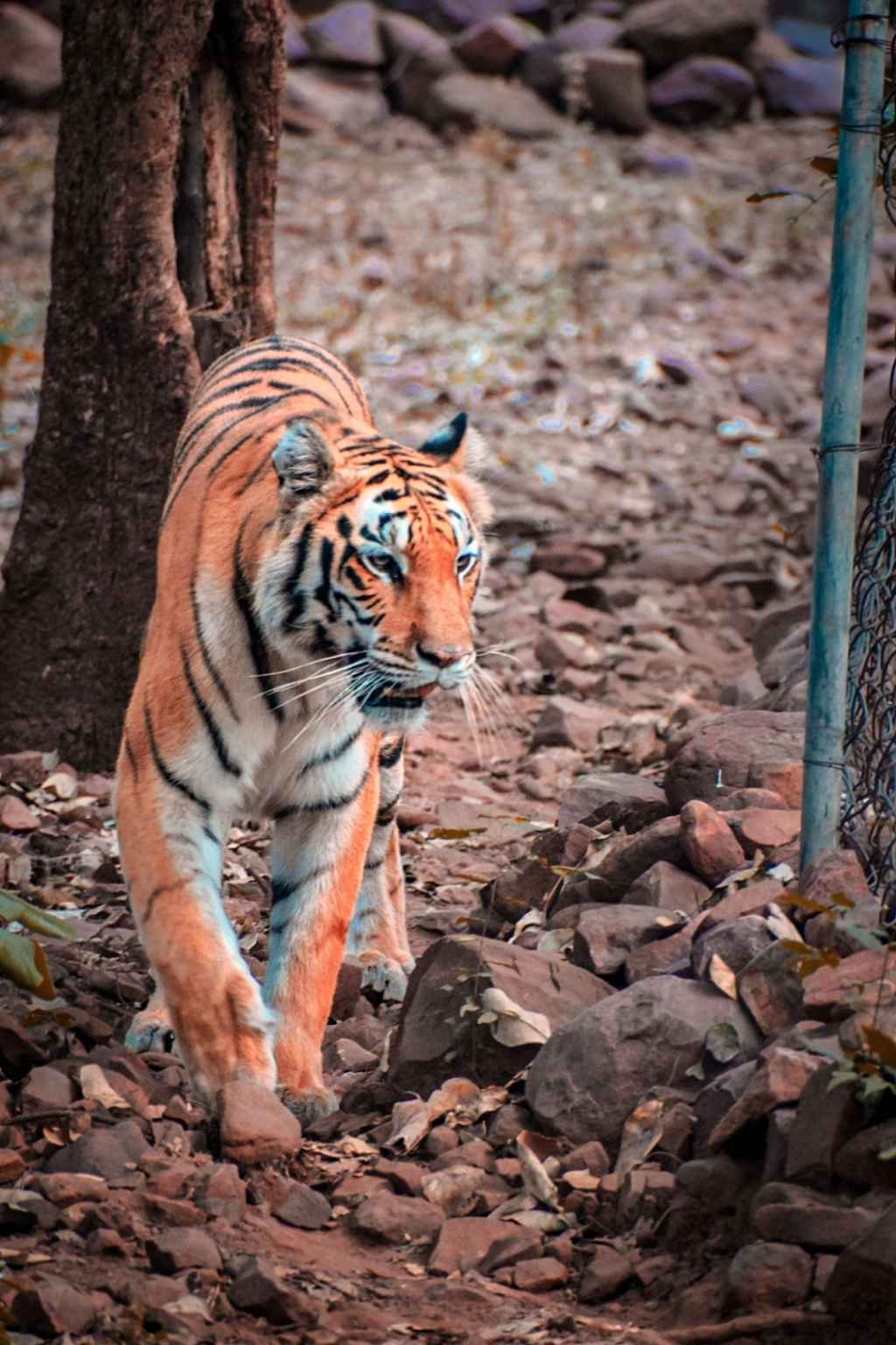 90 Places To Visit In Bhopal To Explore The Heart Of India
