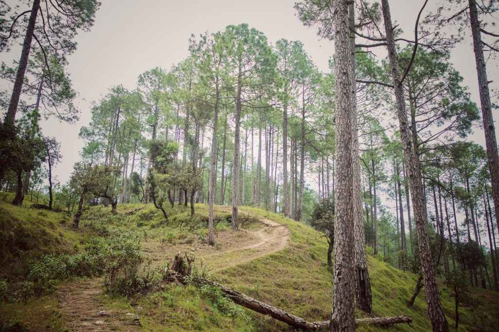 10 Places To Visit In Ranikhet For A Relaxed Mountain Getaway