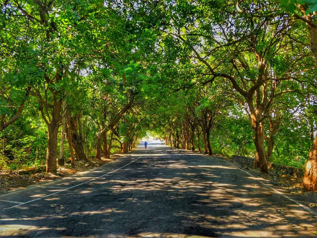 9 Places To Visit In Belapur To Make The Most Of Your Trip | Tripoto