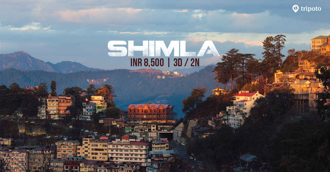 Shimla Tourism (2019), Get Detailed Information on Shimla Travel Guide ...