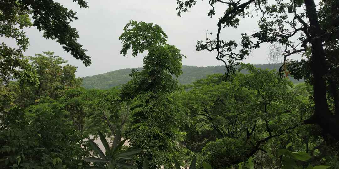 23 Places To Visit In Bhilai To Make The Most Of Your Trip | Tripoto