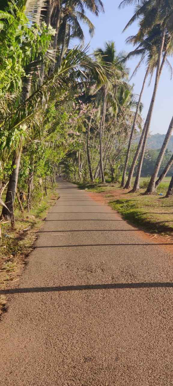 39 Places To Visit In Margao To Make The Most Of Your Trip | Tripoto