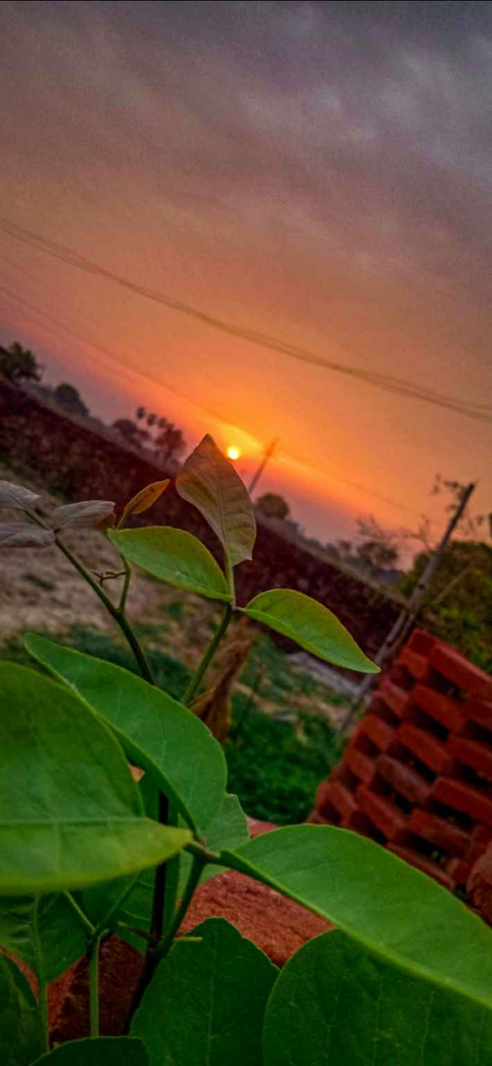 4 Places To Visit In Pratapgarh To Make The Most Of Your Trip | Tripoto