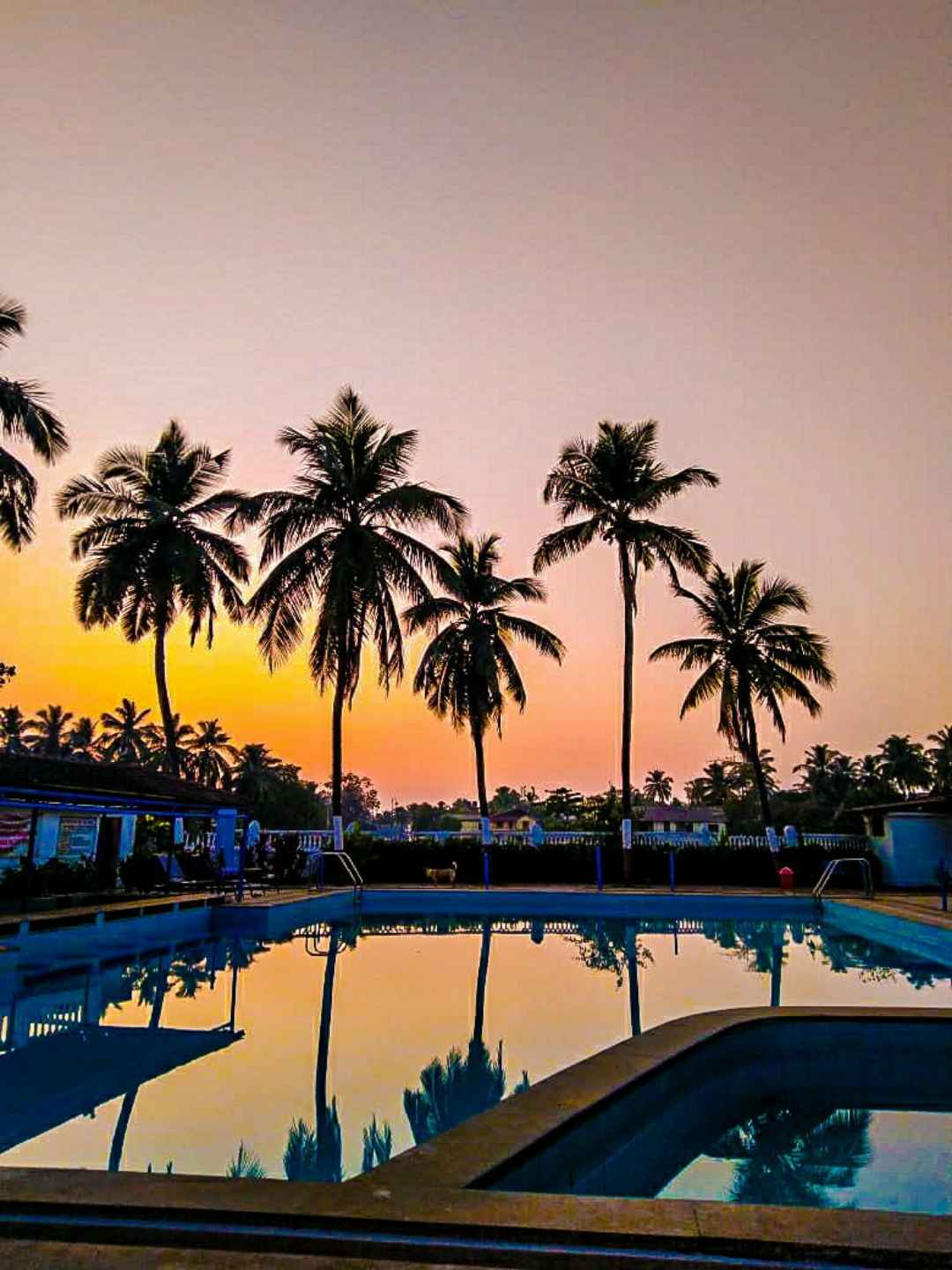 5 Places To Visit In Colva To Make The Most Of Your Trip | Tripoto