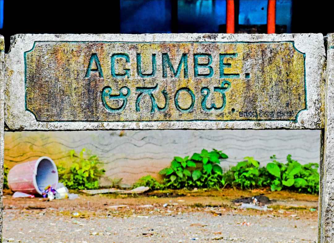 14 Places To Visit In Agumbe To Make The Most Of Your Trip | Tripoto