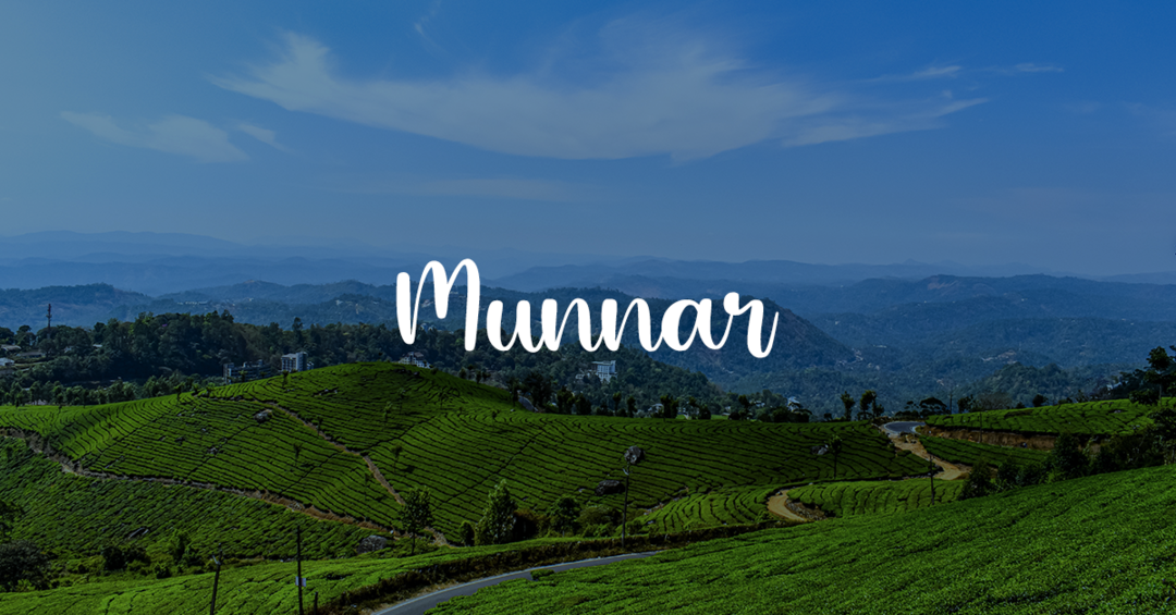 Captivating Munnar For 3 Days/2 Nights @ ₹ 7,549