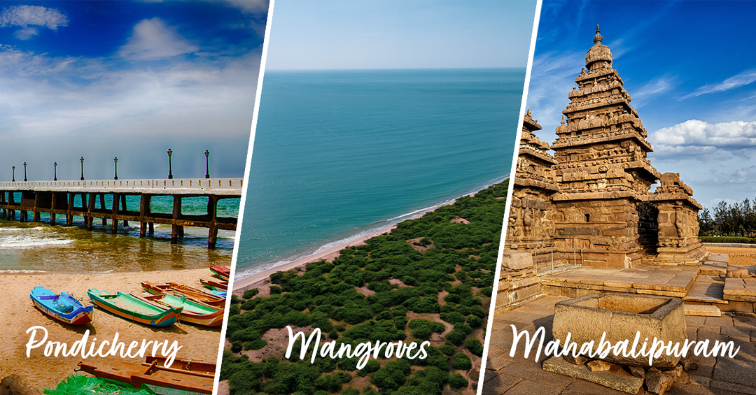 9 MUST VISIT ATTRACTIONS IN PONDICHERRY - Tripoto