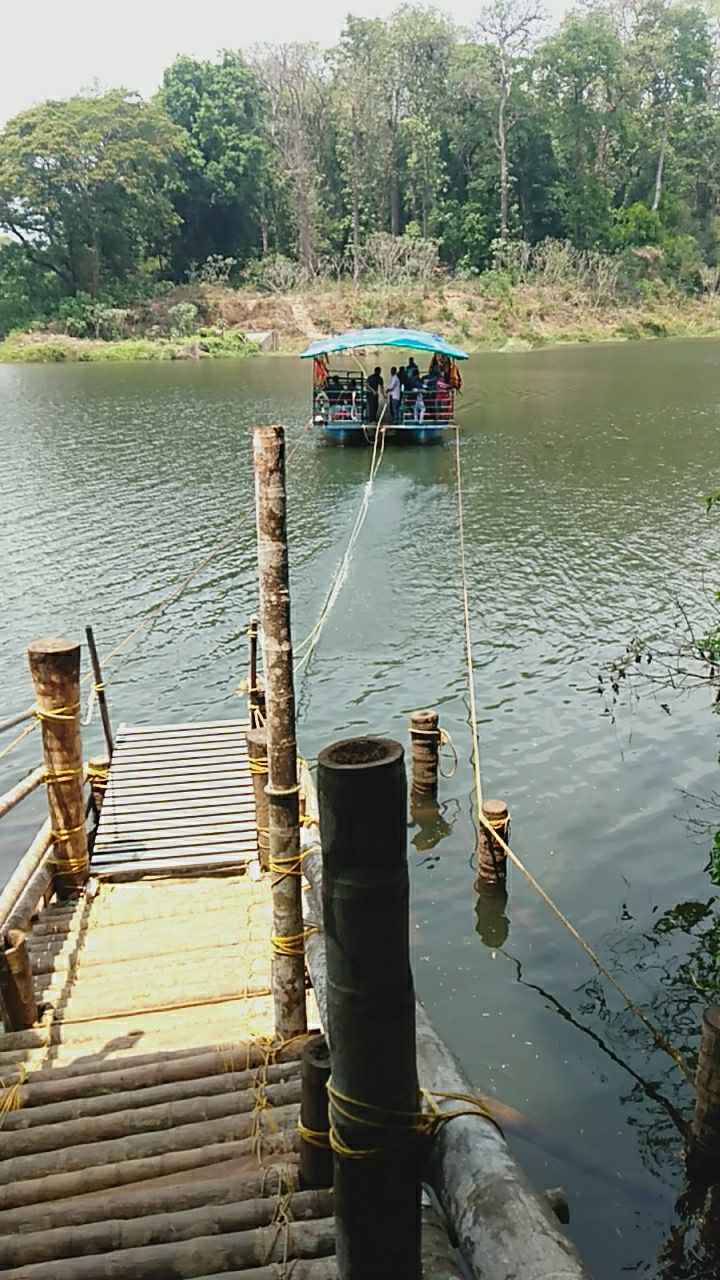 8 Places To Visit In Nilambur To Make The Most Of Your Trip | Tripoto