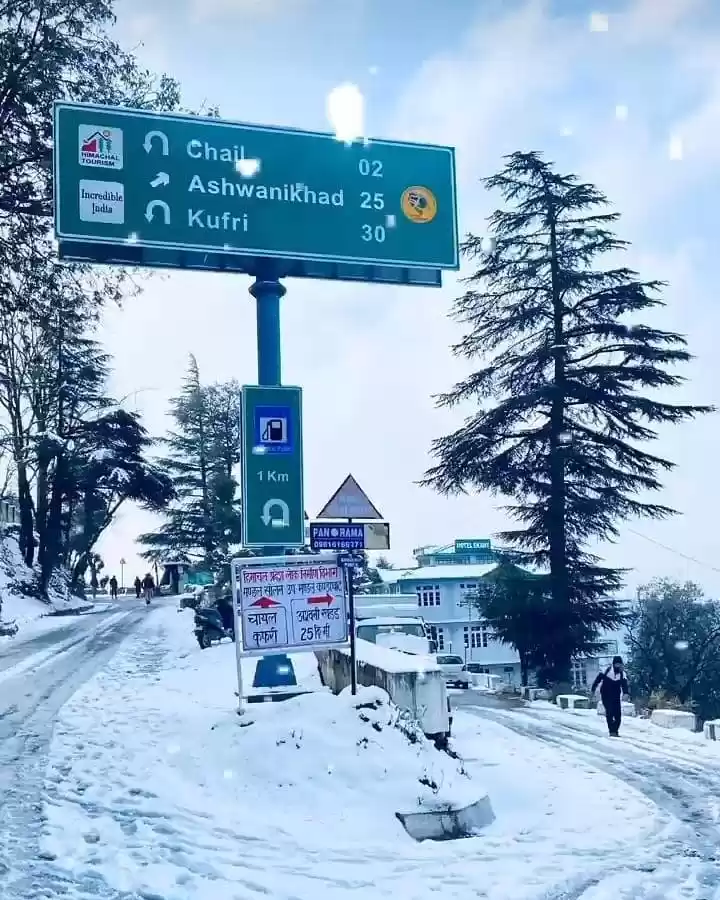 shimla snow