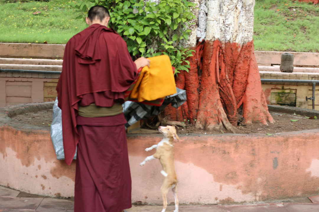 Deoghar Travel Guide 2021: Best of Deoghar Tourism | Tripoto